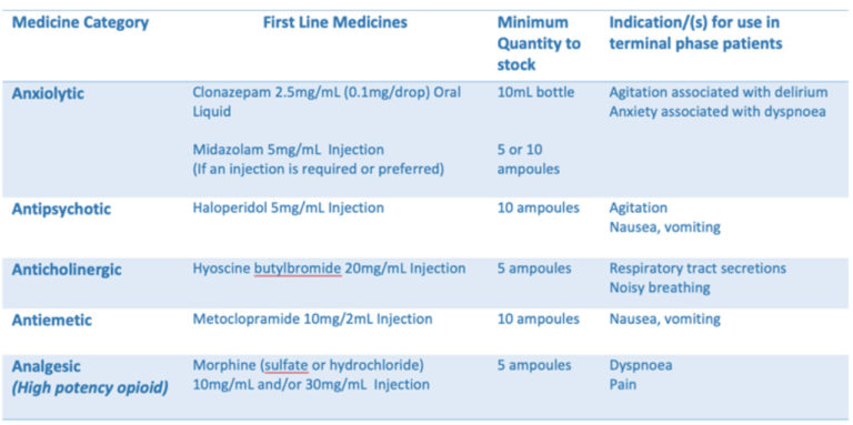 Palliative Care Access to Core Medicines (PCAM) Project – Metropolitan ...